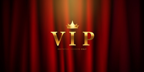 Luxury design vip background Royalty Free Vector Image