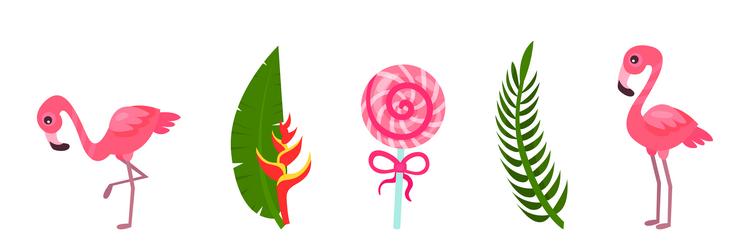 Tropical objects and element with flamingo flower Vector Image