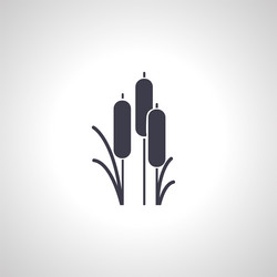 Reeds plant icon reed isolated icon Royalty Free Vector