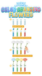 Color changing flowers science experiment Vector Image