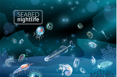 Seabed cartoon background Royalty Free Vector Image