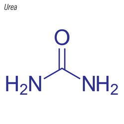 Urea molecule Royalty Free Vector Image - VectorStock