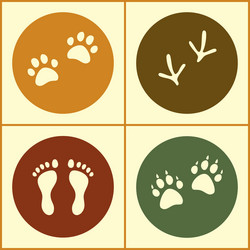 Bird Feet Vector Images (over 1,300)