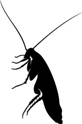 Cockroach logo design template Royalty Free Vector Image