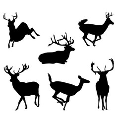Deer Royalty Free Vector Image - VectorStock