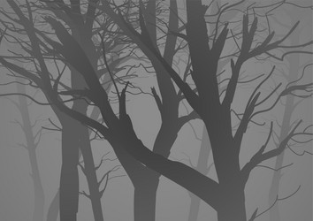 Dark Woods Vector Images (over 16,000)