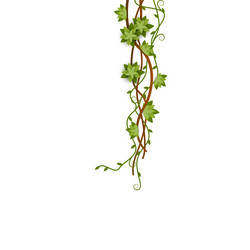 Vertical Vine Vector Images (over 400)