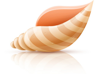 Single shell icon cartoon style Royalty Free Vector Image