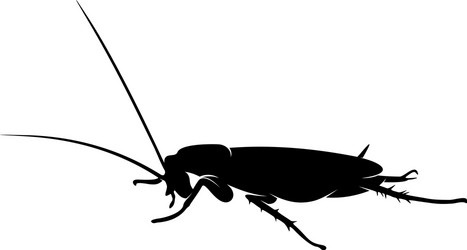 Cockroach logo design template Royalty Free Vector Image