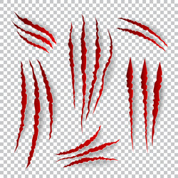 Slash cut scratches realistic monster claw marks Vector Image
