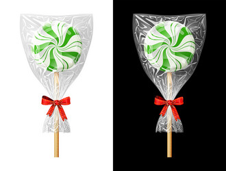 Round green candy on stick in plastic wrapper Vector Image