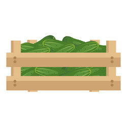 Cucumber on wooden banner Royalty Free Vector Image