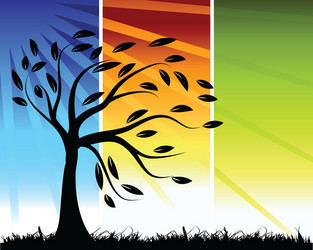 Tree silhouette color background Royalty Free Vector Image