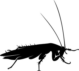 Cockroach logo design template Royalty Free Vector Image