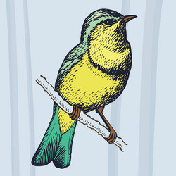 Bird claws Royalty Free Vector Image - VectorStock