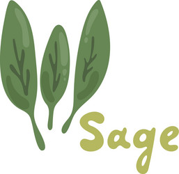 Sage Logo Vector Images (over 240)
