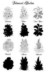 Succulent Outline Vector Images (over 9,900)