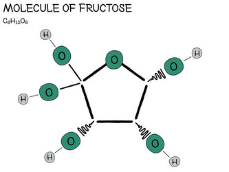 Large and detailed infographic of the molecule Vector Image