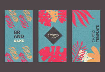 Stories template for mobile phone social Vector Image