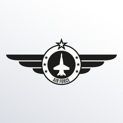Air force badge with wings and star army Vector Image