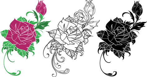 Flower rose Royalty Free Vector Image - VectorStock