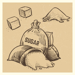 Cartoon sugar characters isolated Royalty Free Vector Image