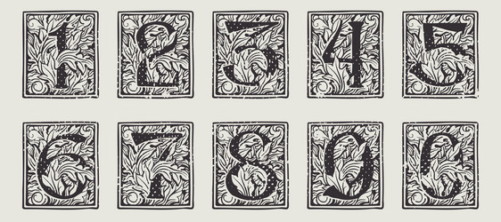 Numbers set drop caps in engraved medieval style Vector Image