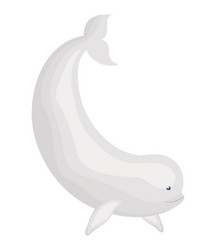 Cute beluga Royalty Free Vector Image - VectorStock