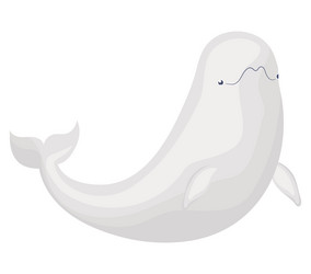 Beluga Vector Images (over 1,300)