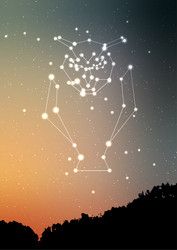 Aquarius zodiac constellations sign Royalty Free Vector