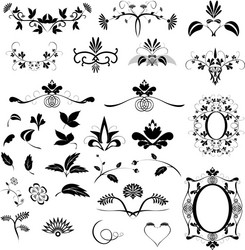 Floral shapes and ornaments Royalty Free Vector Image