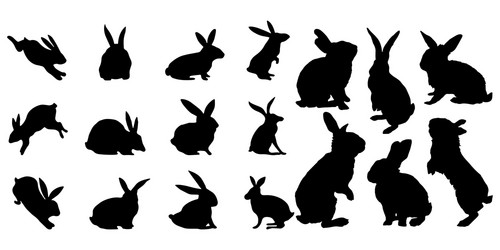Rabbit set isolated on white background Royalty Free Vector