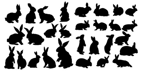 Rabbit set isolated on white background Royalty Free Vector