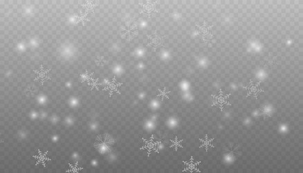 Realistic falling snow Royalty Free Vector Image