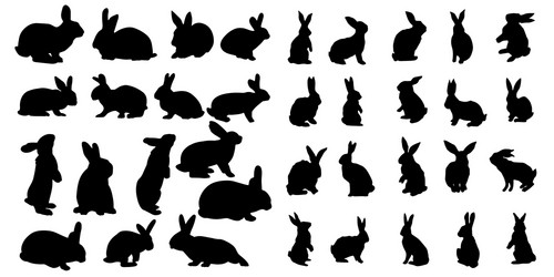 Rabbit set isolated on white background Royalty Free Vector
