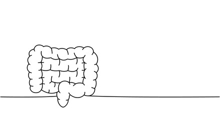 Human digestive system intestines gut anatomy Vector Image