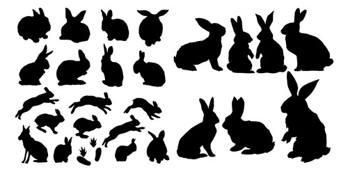 Rabbit set isolated on white background Royalty Free Vector