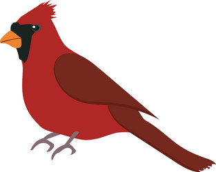 Cardinal Vector Images (over 4,400)