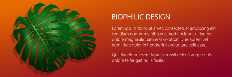 Biophilic design banner Royalty Free Vector Image