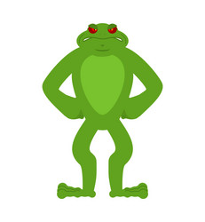 Toad Angry Vector Images (57)
