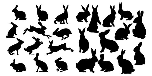 Rabbit set isolated on white background Royalty Free Vector