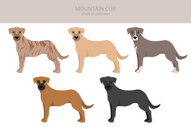 Mountain cur clipart different poses coat colors Vector Image