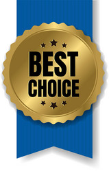 Best choice badge with ribbon and transparent Vector Image