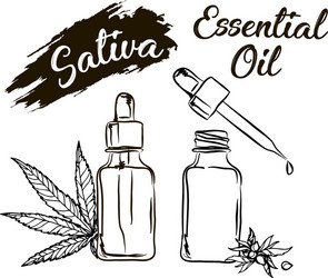 Indica Vector Images (over 6,100)