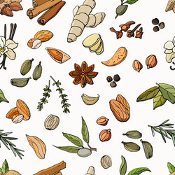 Seamless pattern various spices ginger chil Vector Image