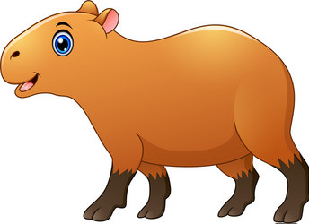 Cute cartoon capybaras isolated on a white Vector Image
