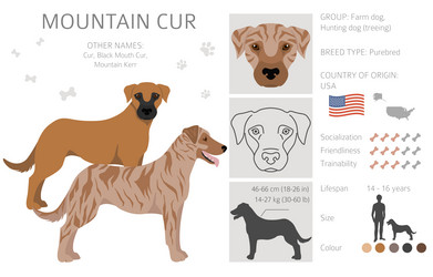 Mountain cur clipart different poses coat colors Vector Image
