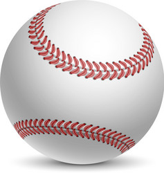 Baseball leather ball Royalty Free Vector Image