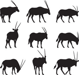 Oryx Vector Images (over 450)