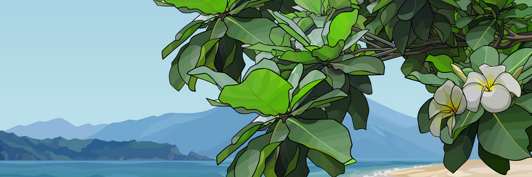 Frangipani Tree Vector Images (over 1,000)